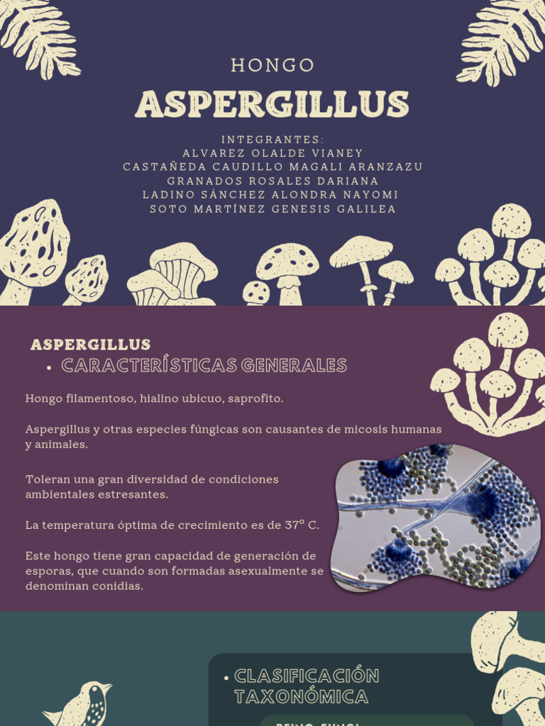 Aspergillus | PDF | Sistema inmune | Hongo