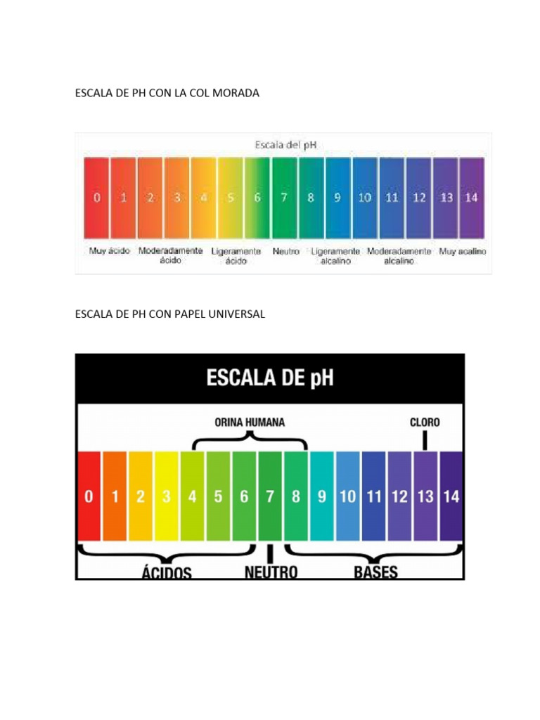 Escala de PH Con La Col Morada - 10 | PDF