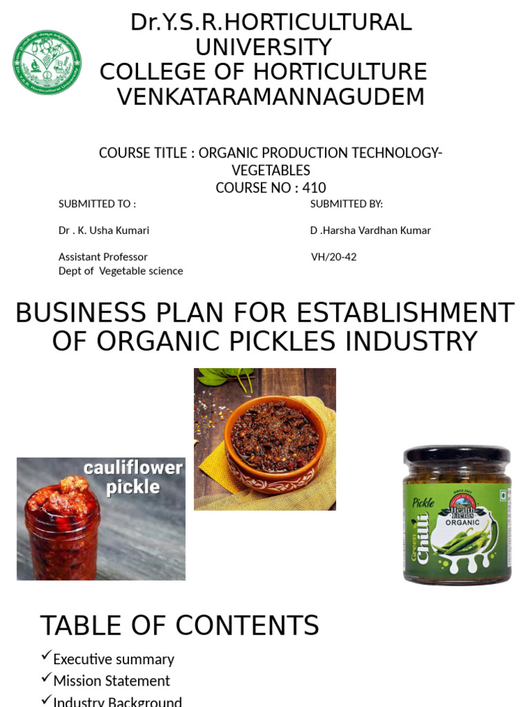 Organic Pickles Industry Business Plan | PDF | Net Present Value | Pickling