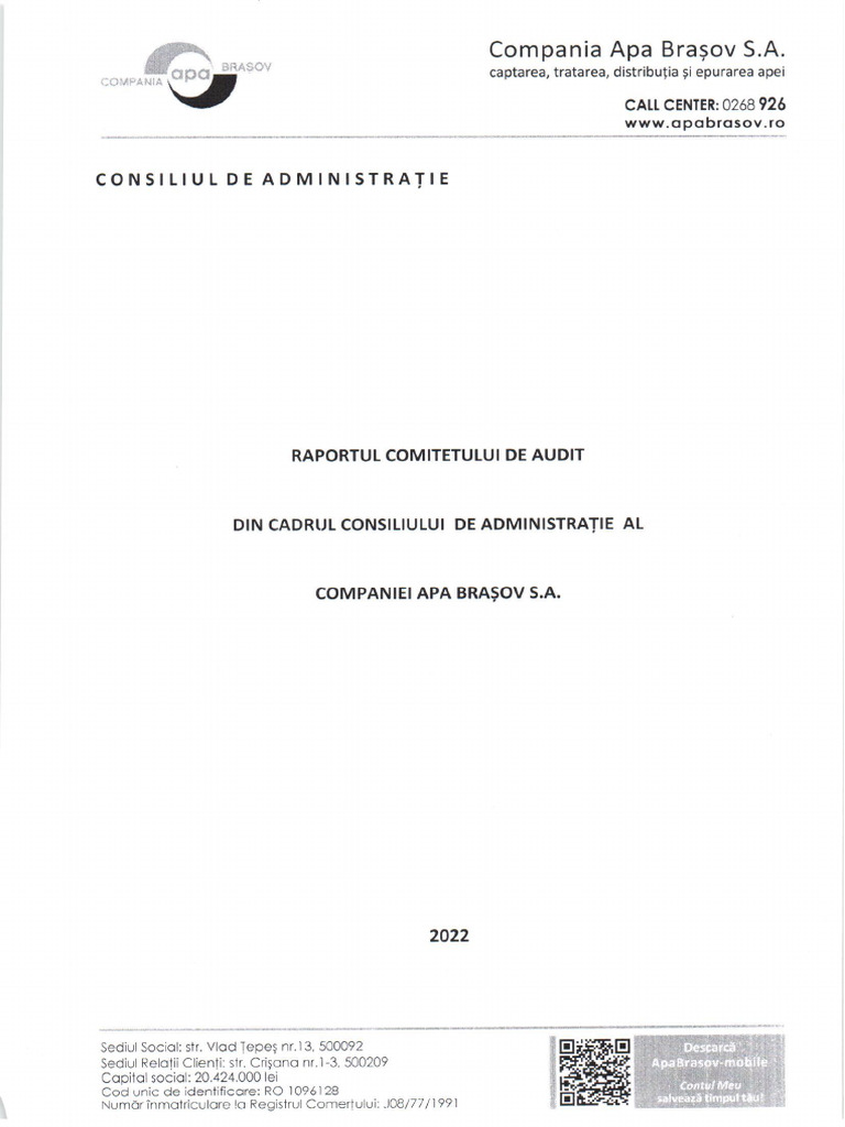 Raport Comitet Audit Pentru 2021 | PDF