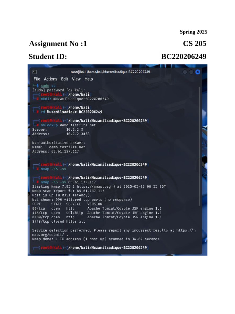 CS205 Assignment No 1 2025 | PDF
