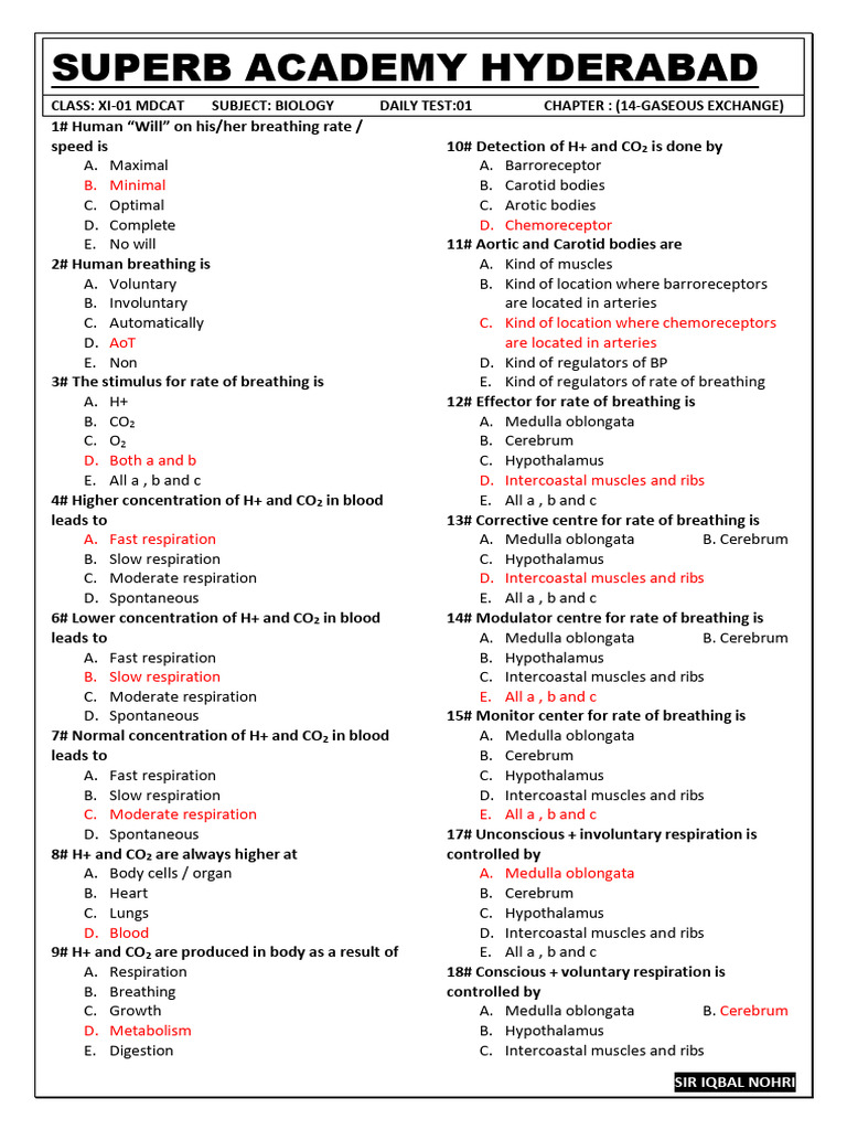 Xi Batch-1 Gaseous Exchange | PDF | Lung | Respiratory System