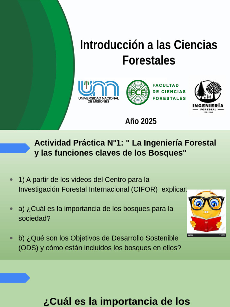 Importancia de Los Bosques | PDF | Los bosques | Sustentabilidad