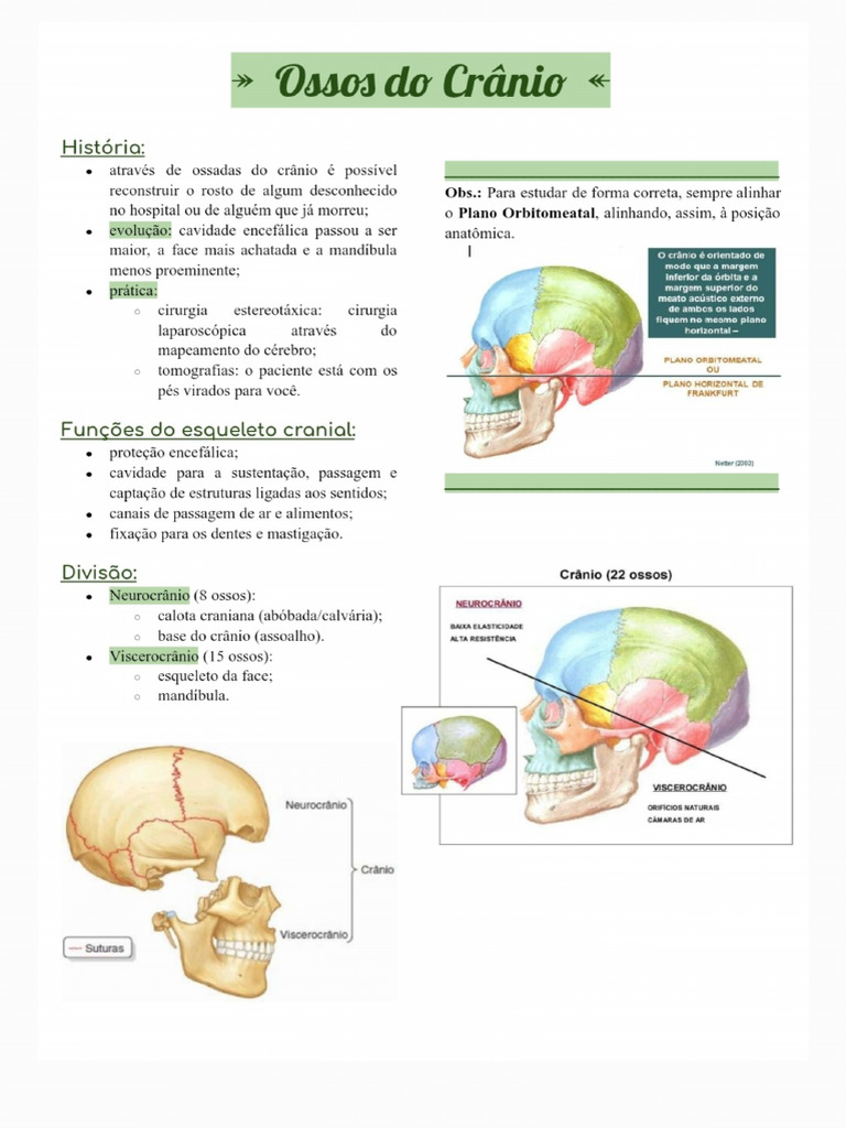 Ossos Do Crânio | PDF