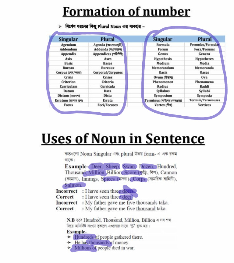 Slide Class-04 Noun ACS Engineering 2022-23-24 | PDF