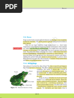 Frog vs Human Organ Systems Explained | PDF | Human Digestive System ...