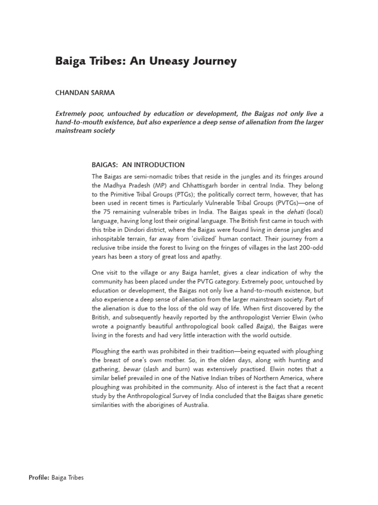 Baiga Tribes: Struggles and Identity | PDF | Tribe