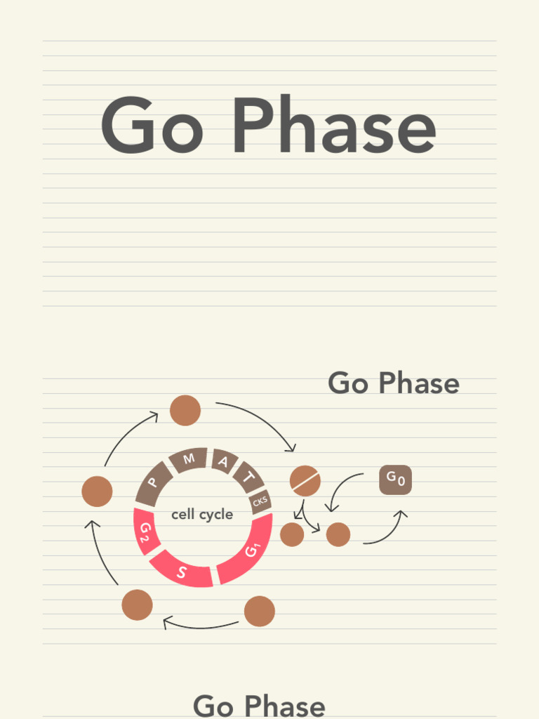 Go PHASE | PDF