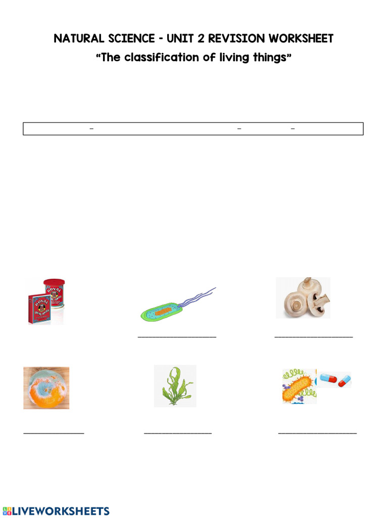 Classification Living Things Worksheets | PDF | Invertebrate | Reptile