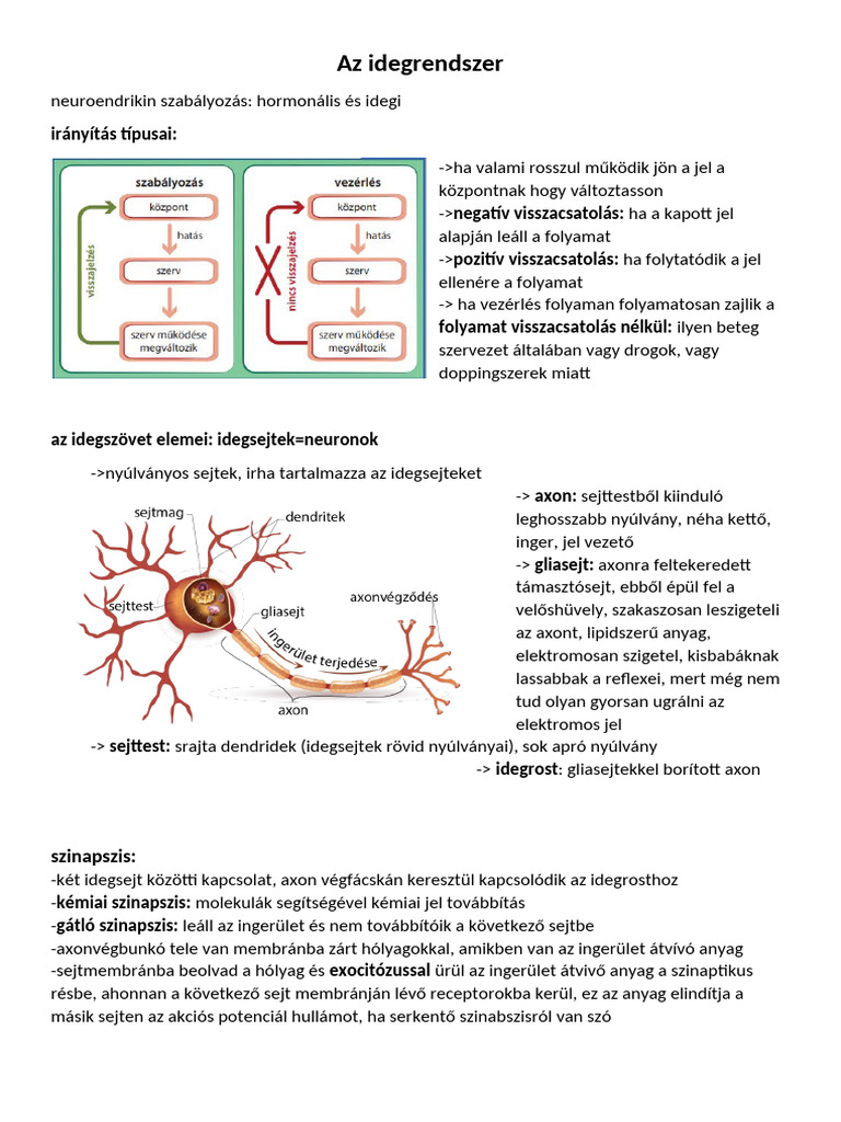 Idegrendszer | PDF