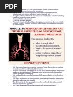 Cattle Respiratory System Overview | PDF | Lung | Respiratory Tract