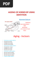 Using - Dentition To Age Cattle | PDF | Tooth | Dentistry