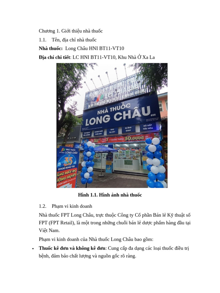 Báo Cáo Long Châu | PDF