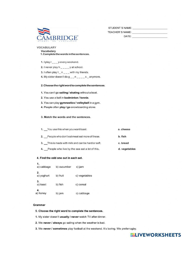 Worksheet Level 2 | PDF