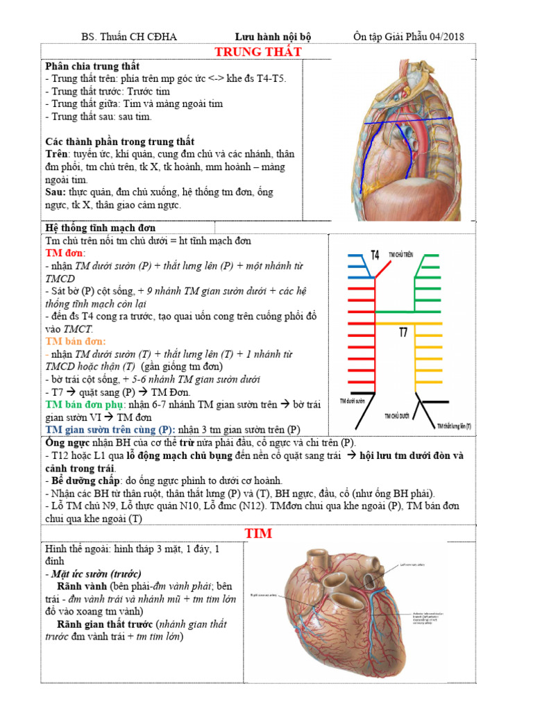 Ôn Tập GP SDH | PDF