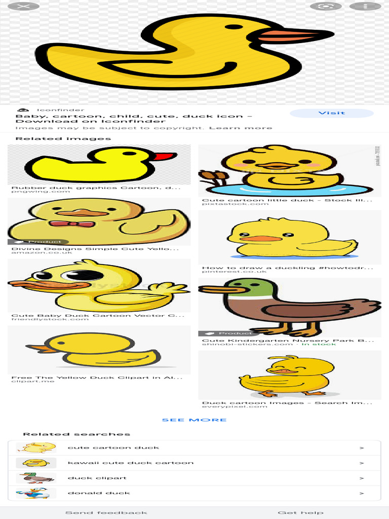 Duck - Google Search | PDF