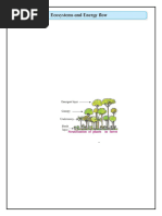 CBSE Biology Chapter 12 Ecosystem Class 12 Notes - FREE PDF | PDF ...
