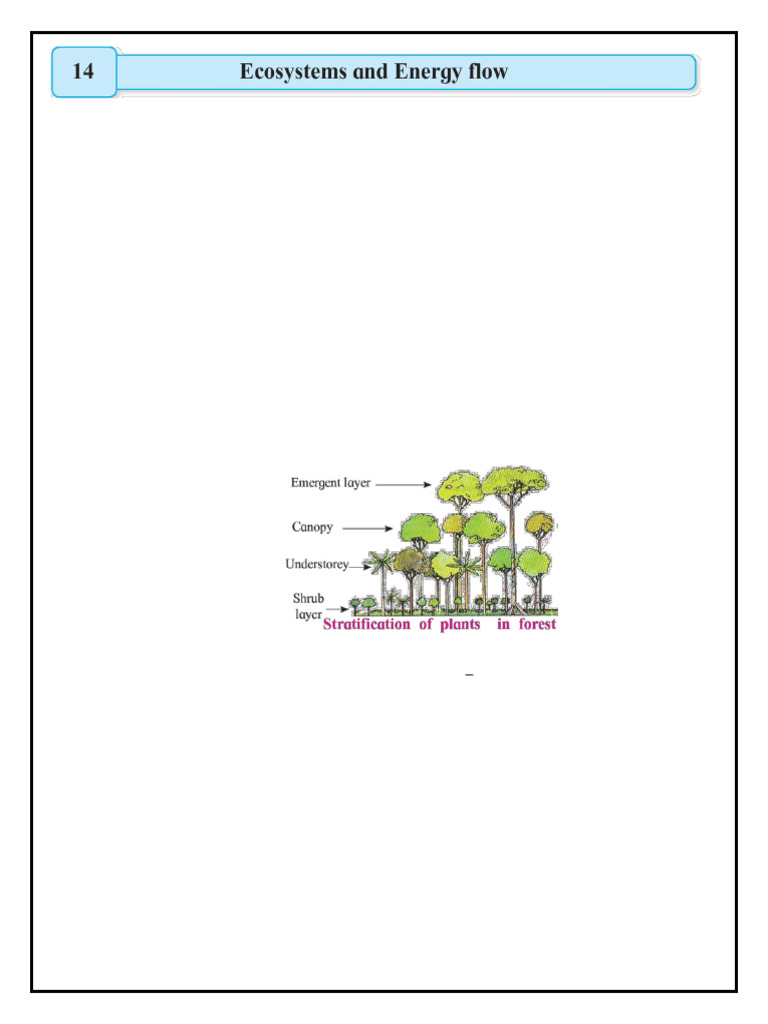 14. Ecosystem and Energy Flow | PDF | Food Web | Decomposition