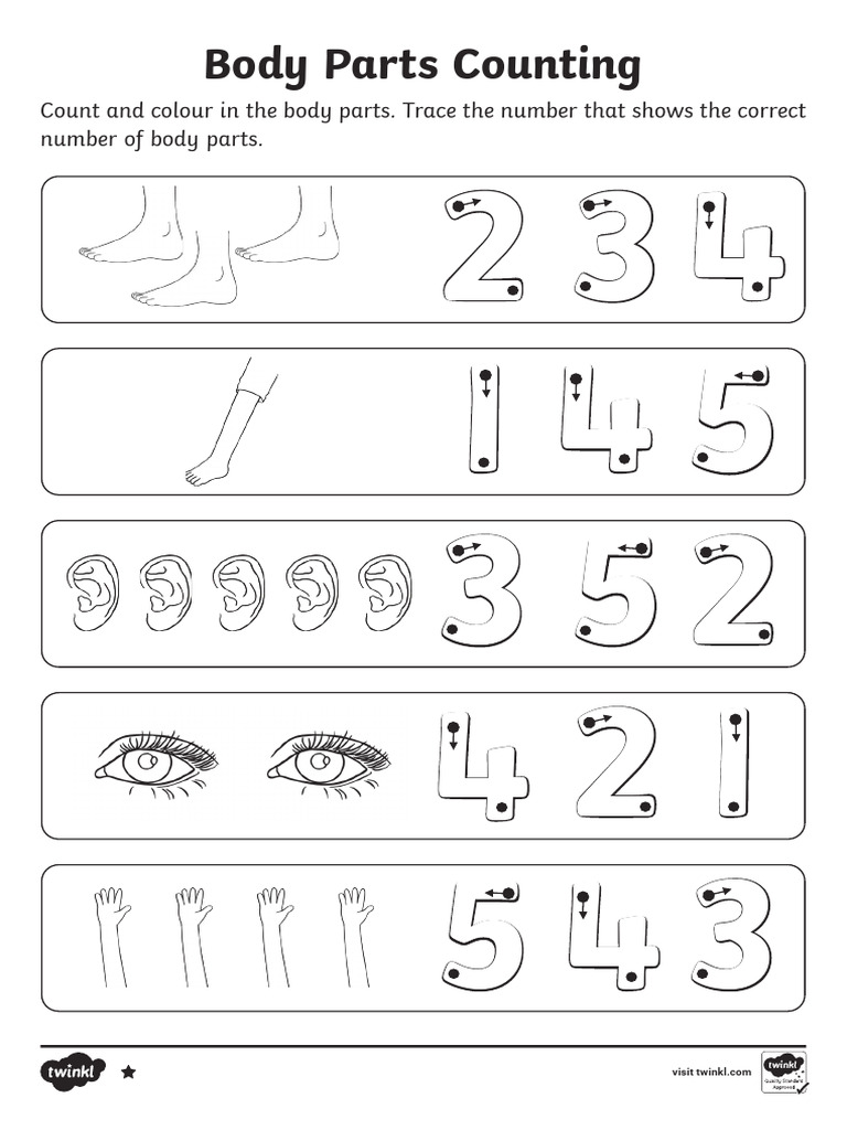 T N 7675 Body Parts Count and Write Activity Sheet Ver 3 | PDF