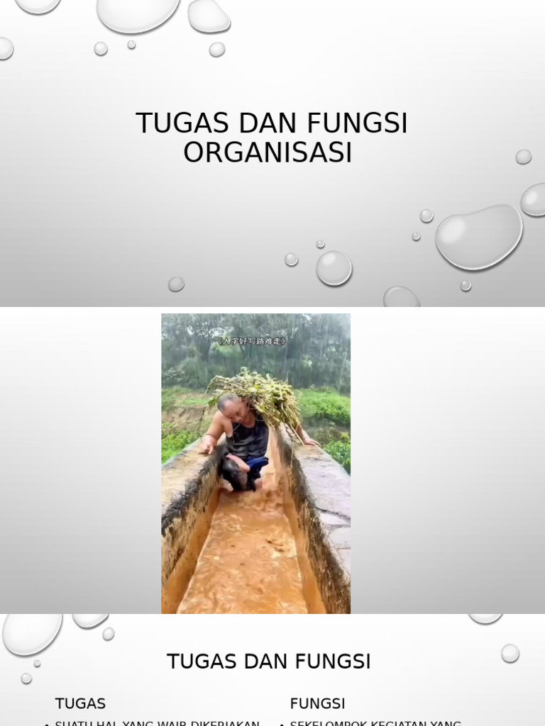 TUGAS DAN FUNGSI ORGANISASI-pppk | PDF