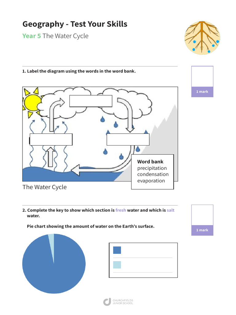 Quiz Geography Y5 The-Water-Cycle | PDF | Water Cycle | Precipitation