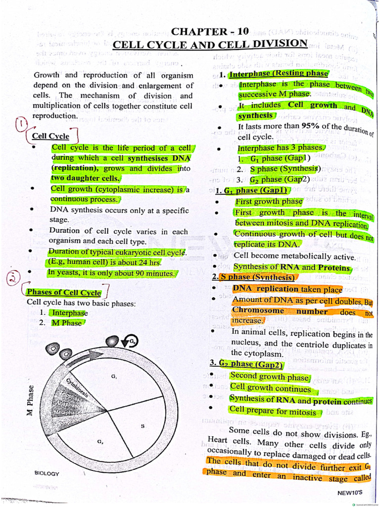 +1 Bio Chap 10 | PDF