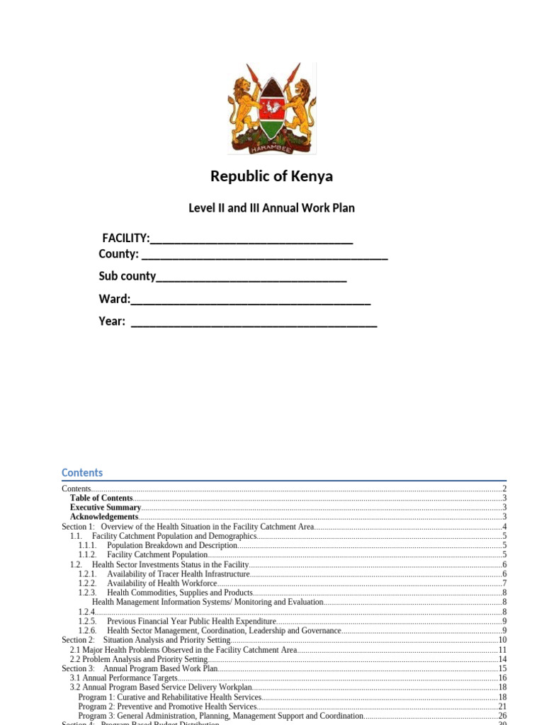 Level II & III Health Facility Work Plan | PDF | Patient | Health ...