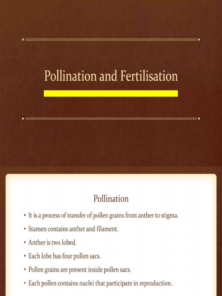 Pollination and Fertilization | PDF