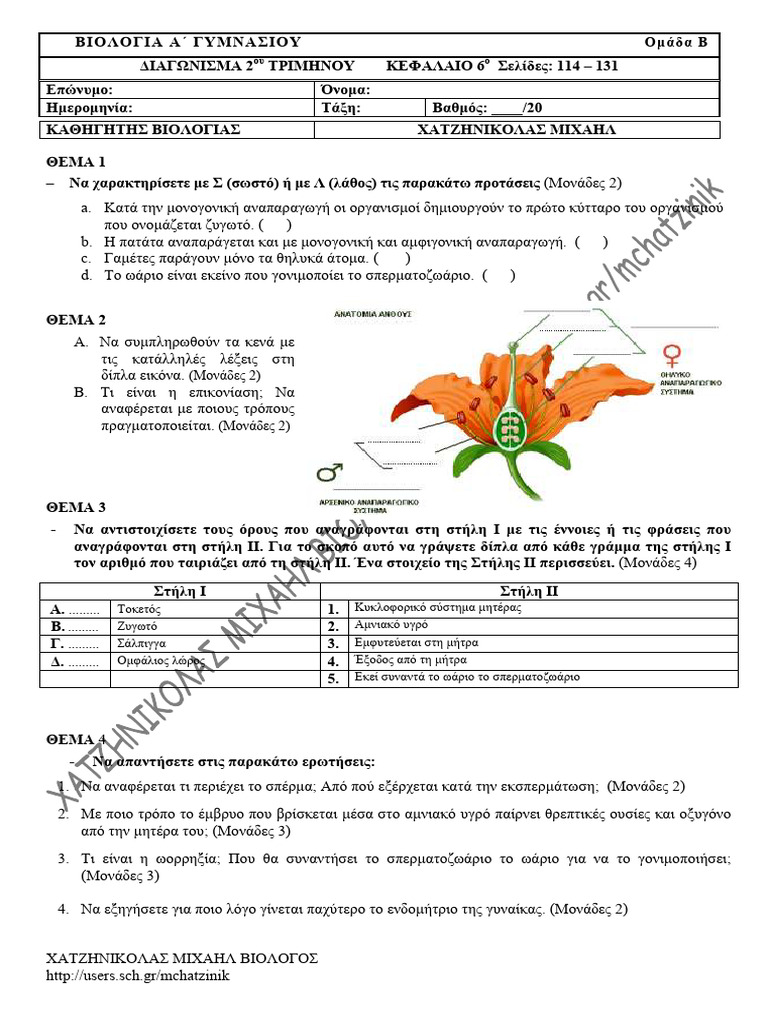Diagonisma Biologias A Gymnasiou Kefalaio 6 Omada 250310 121504 | PDF