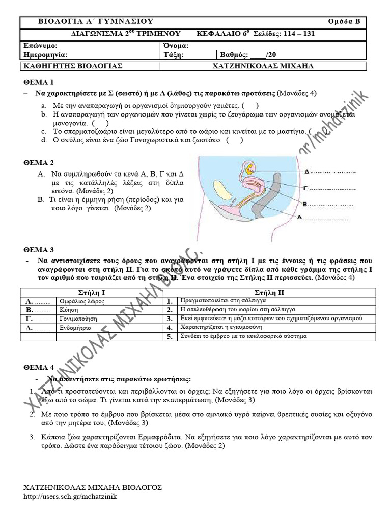 Diagonisma Biologias A Gymnasiou Kefalaio 6 Omada 250310 121231 | PDF