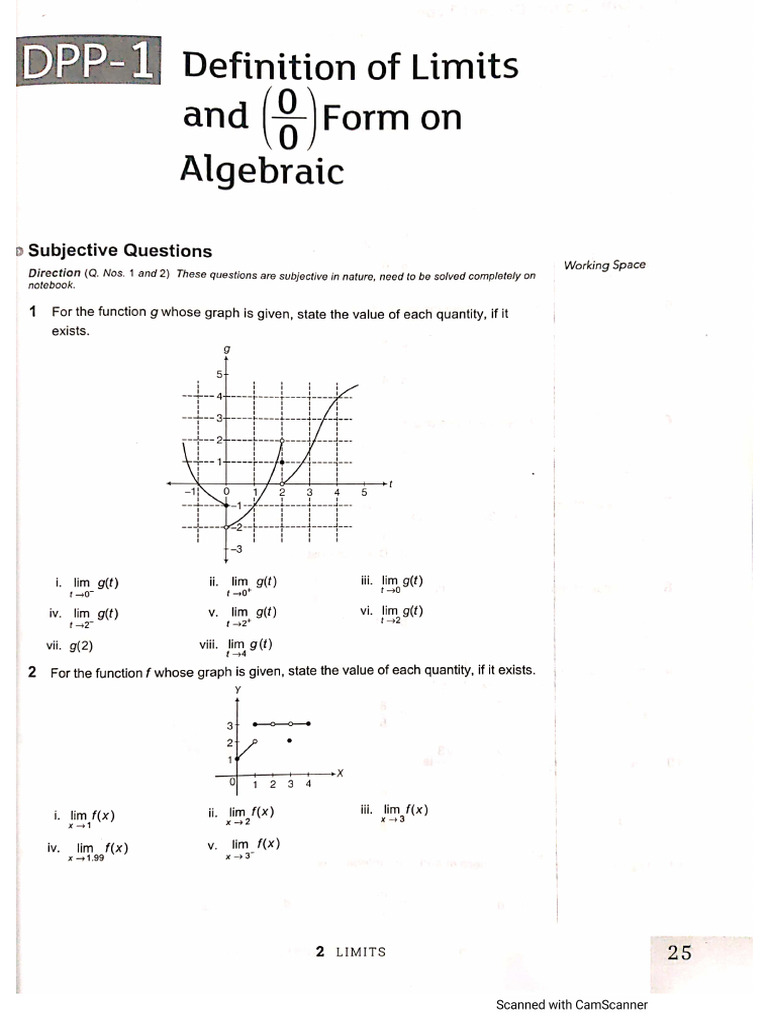 Limit DPP With Solution | PDF
