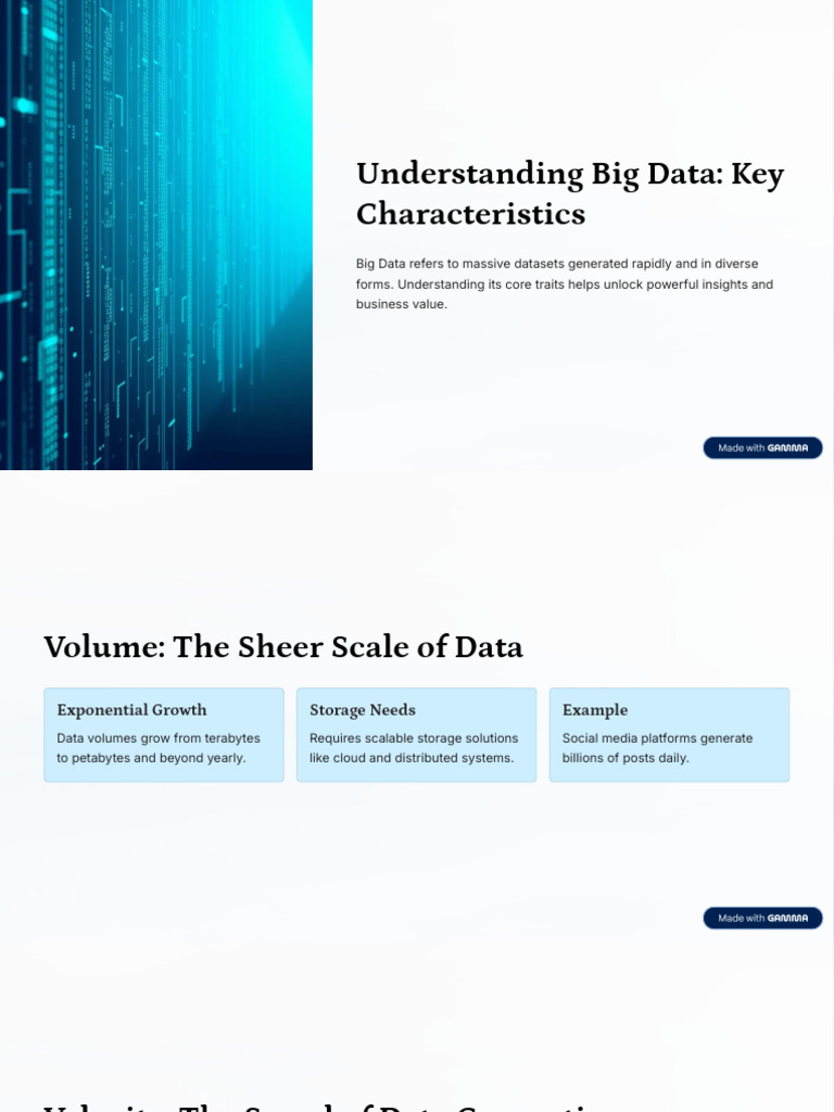 Understanding-Big-Data-Key-Characteristics | PDF | Big Data | Data