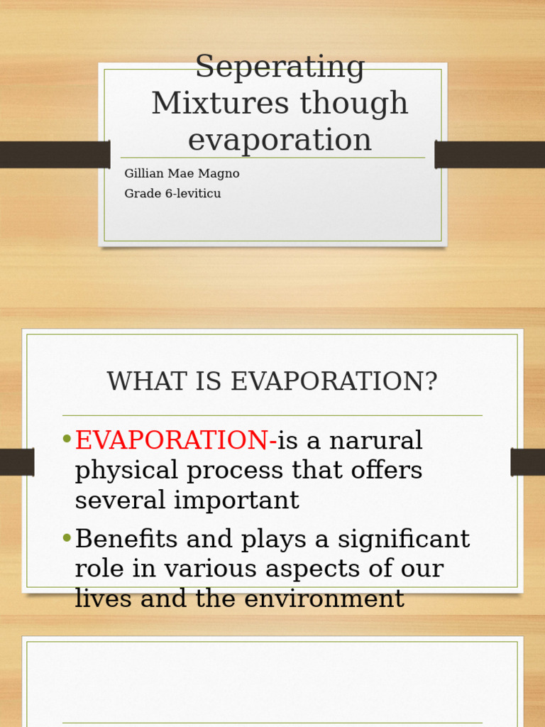 Gillian Mae Magno 6 - Leviticus | PDF