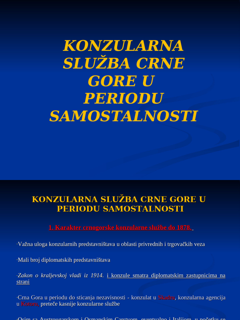 X Prezentacija IDCG | PDF