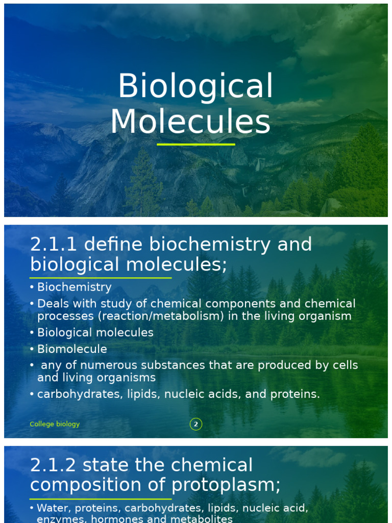 Biological Molecules (Autosaved) | PDF | Carbohydrates | Proteins