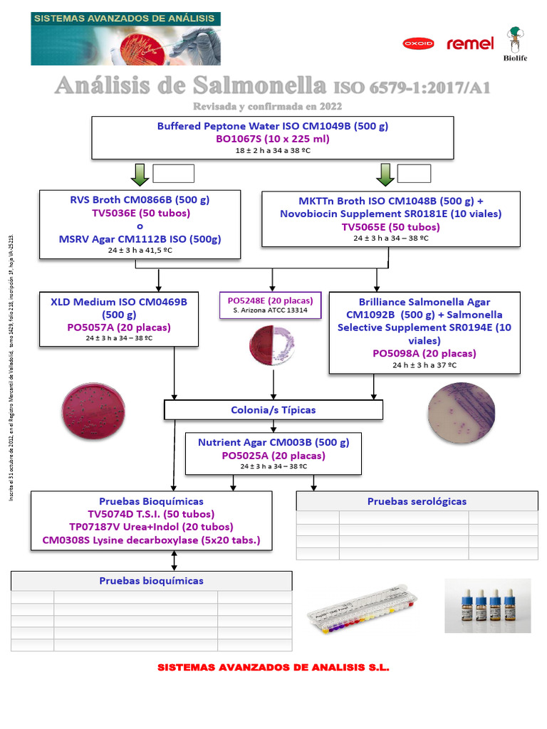 Salmonella ISO 6579 2017 | PDF