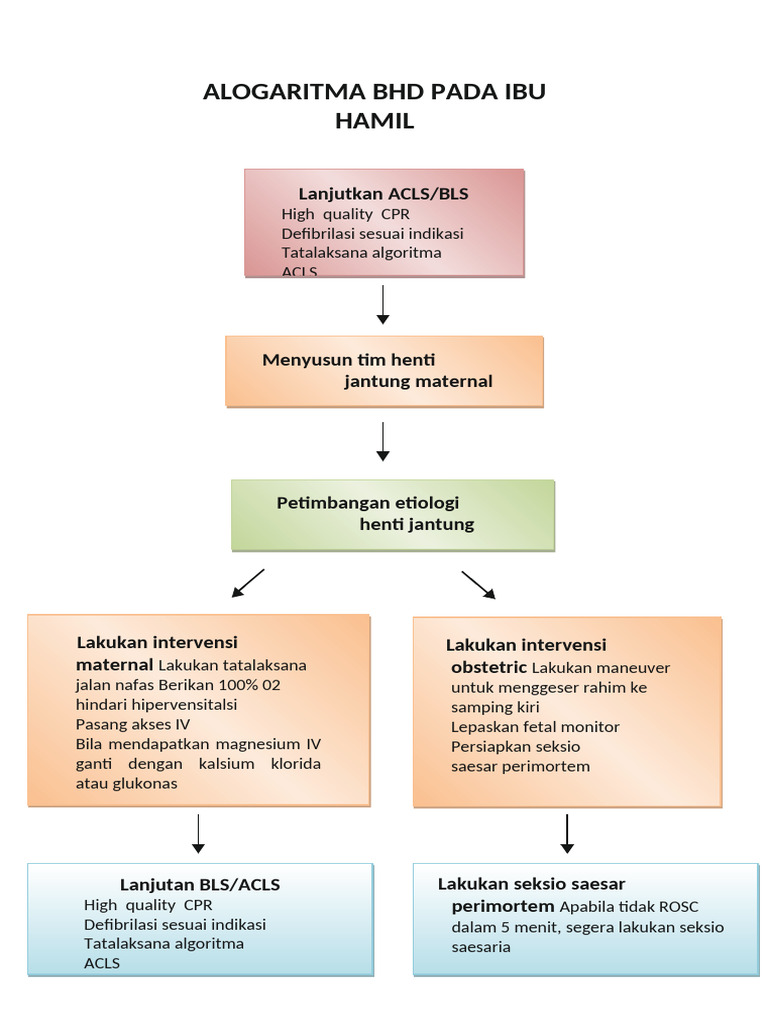 Alogaritma BHD Pada Ibu Hamil | PDF