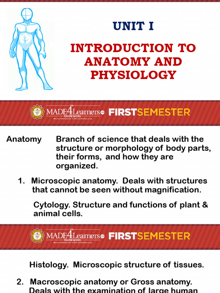 Unit I. Introduction to Anatomy and Physiology | PDF | Anatomical Terms ...