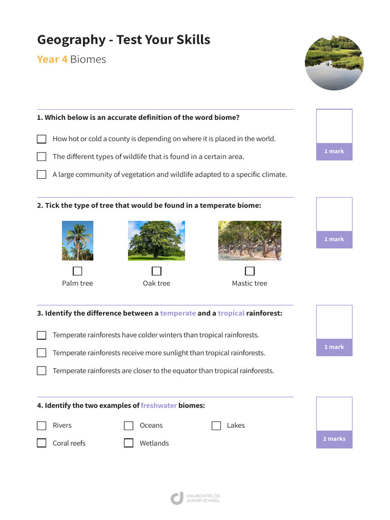 Year 4 Biomes Geography Quiz | PDF | Rainforest | Tropics