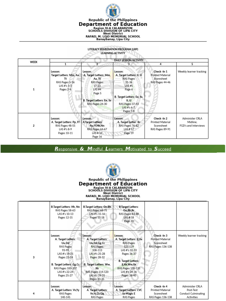 Literacy Remediation Lesson Activity Plan | PDF | Social Science