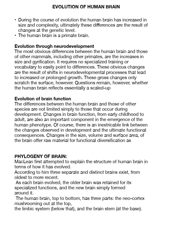Evolution - of - Brain Biopsychology | PDF | Neocortex | Brain