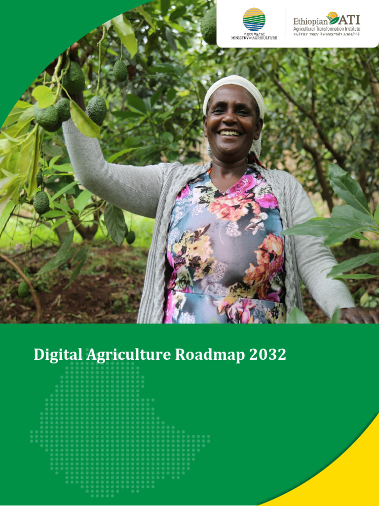 Digital Agriculture Roadmap 2032 | PDF | Agriculture | Governance