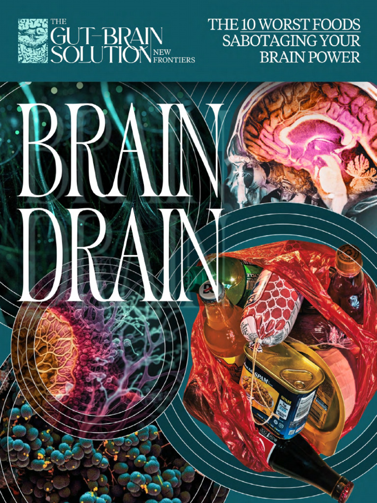Brain Drain | PDF | Sugar Substitute | Cooking