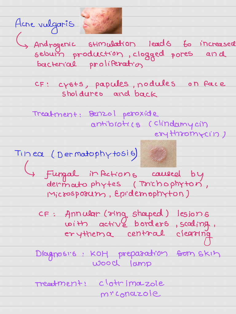 Dermat Viva - 250401 - 001824 | PDF