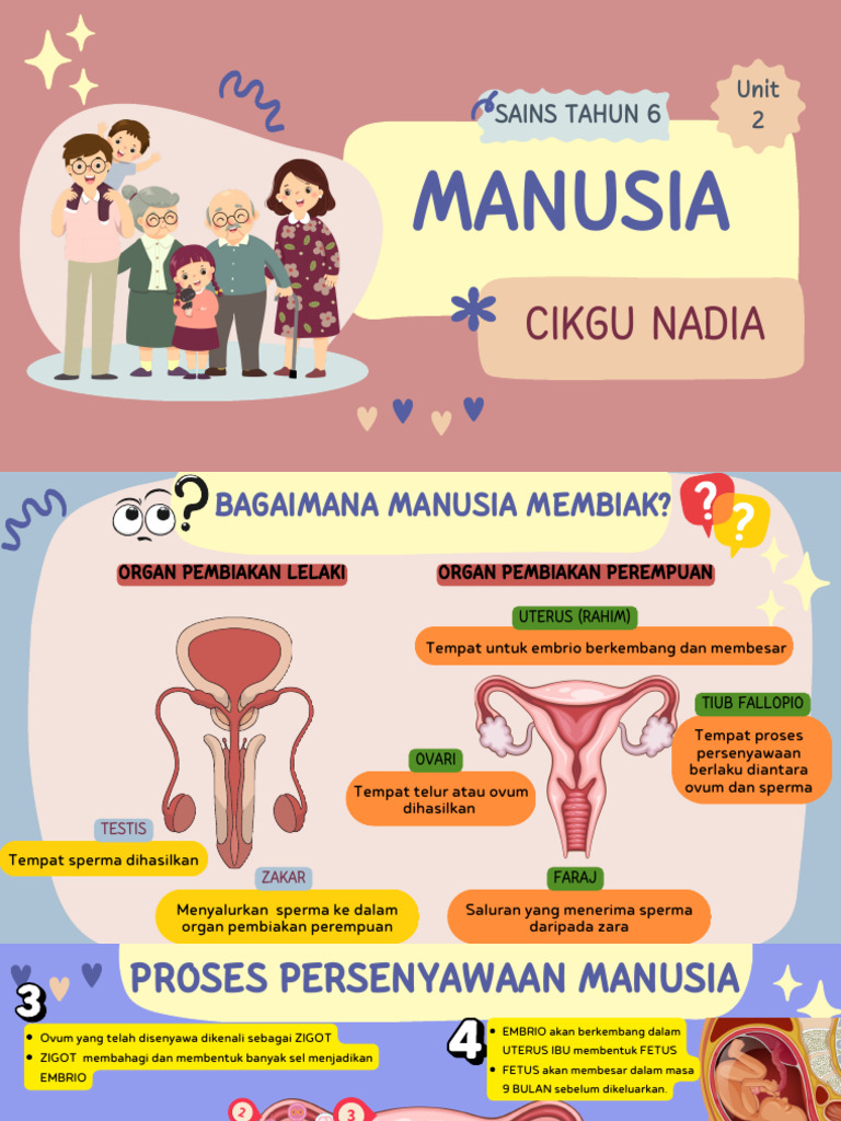Sains Tahun 6 Manusia | PDF