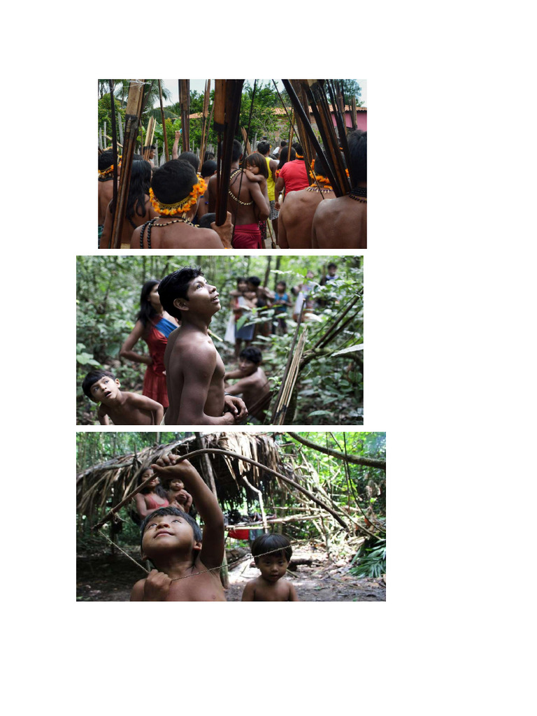 fotos tribo Awá pdf | PDF