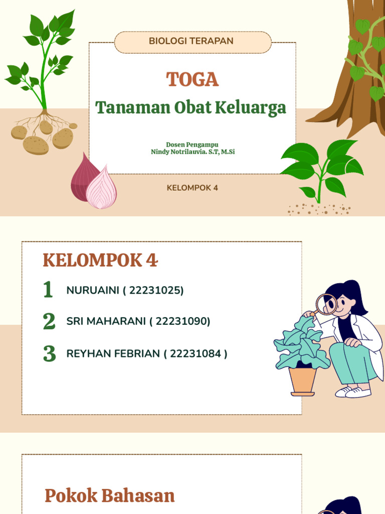 Kelompok 4 - Toga | PDF