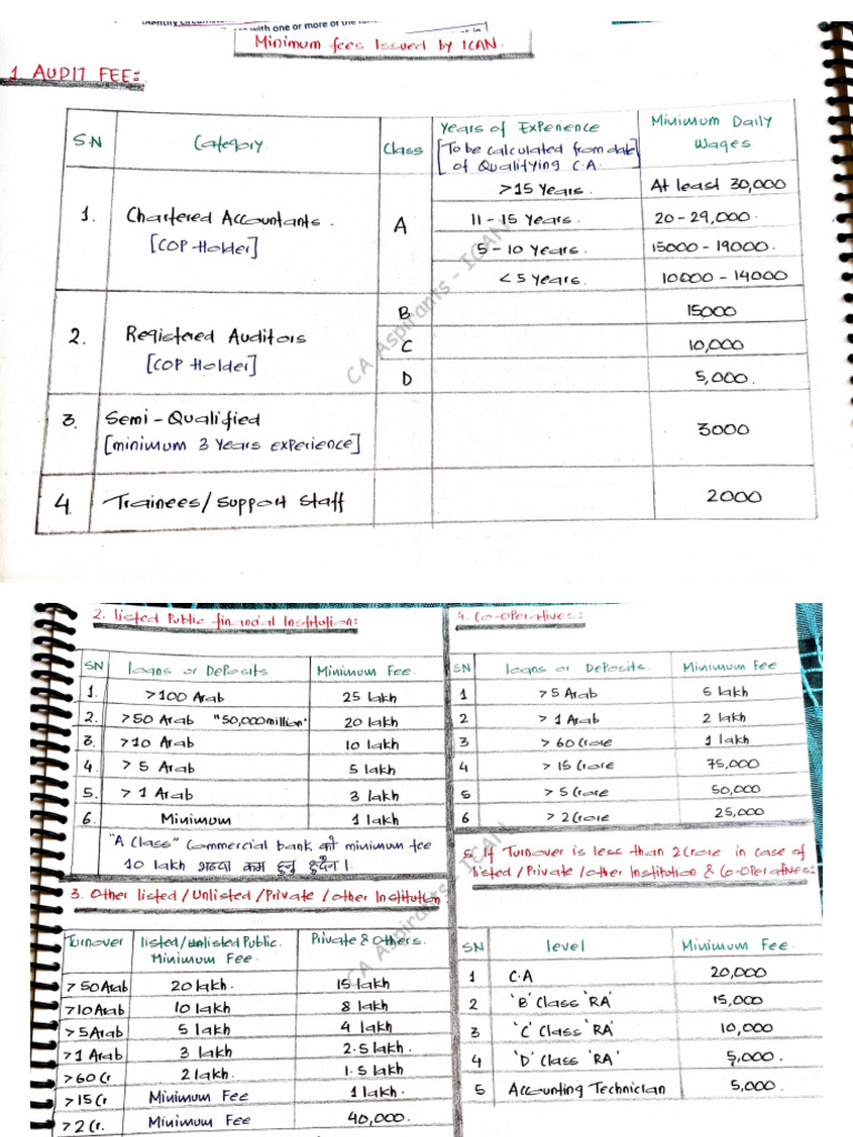 Audit Fee and Ceiling Limits | PDF