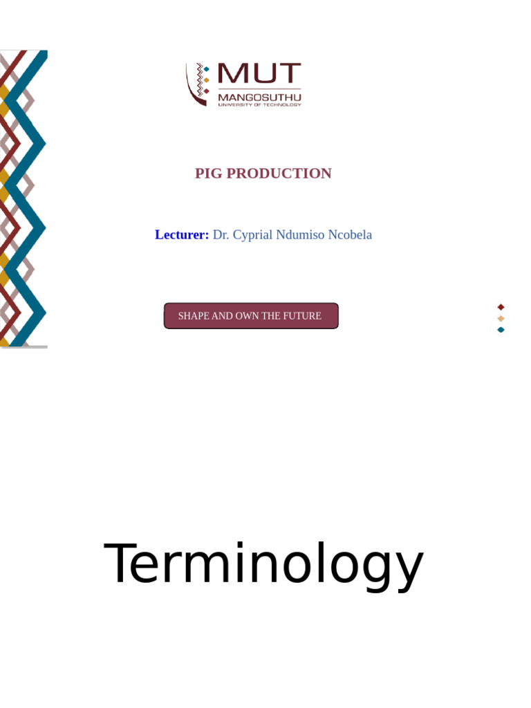 Comprehensive Guide to Pig Production | PDF | Pig | Zoology