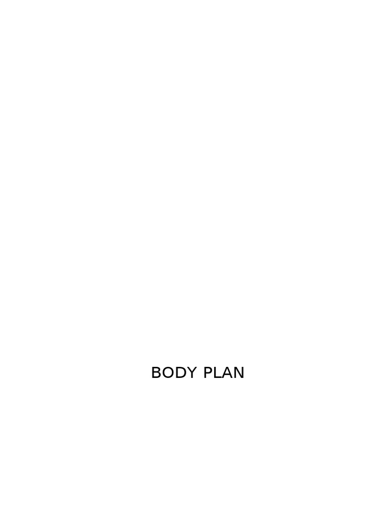 Bulk Carrier Lines Plan Overview | PDF